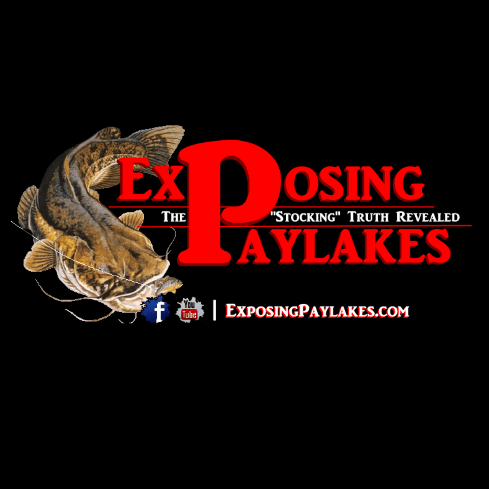 How Paylakes Stock LARGE Catfish | Exposing Paylakes